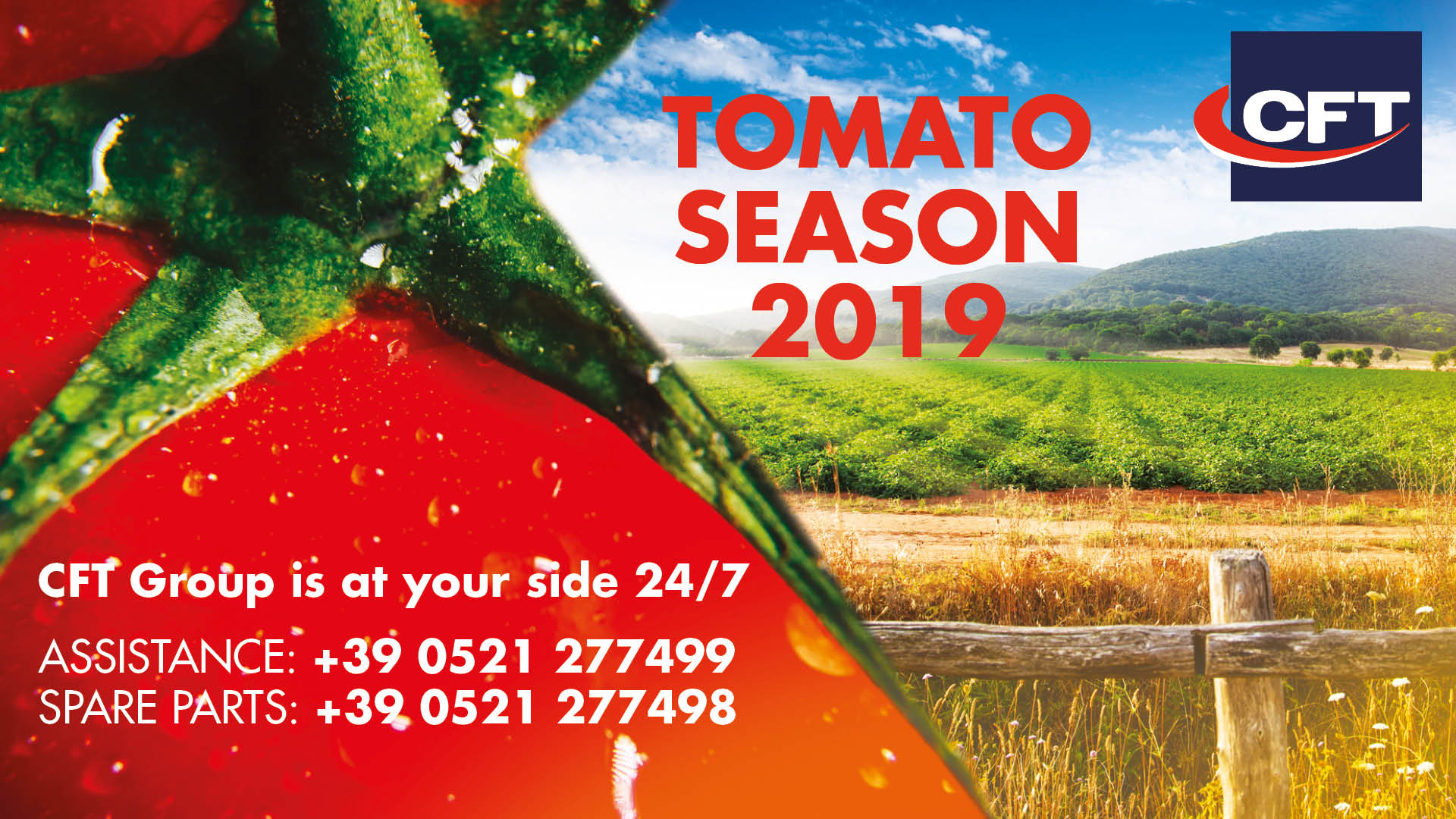 Tomato Season - CFT Food Machinery